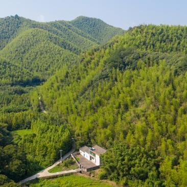 FSC Remedy Framework | FSC Connect